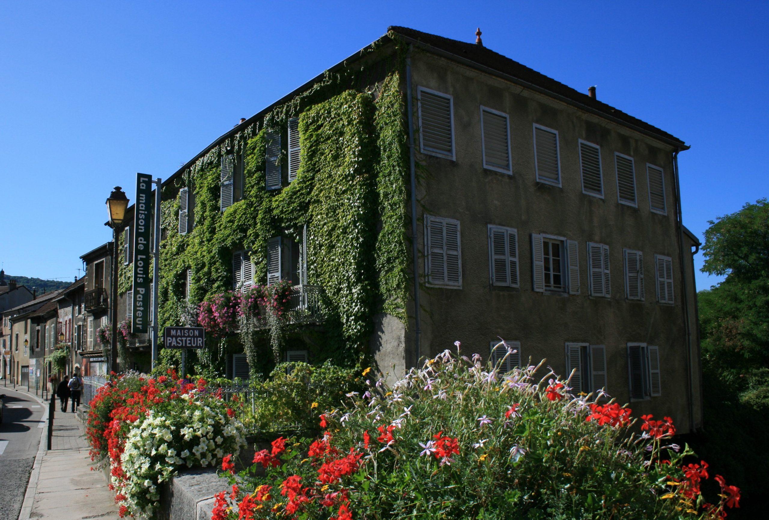 Patrimoine-Musées - Arbois