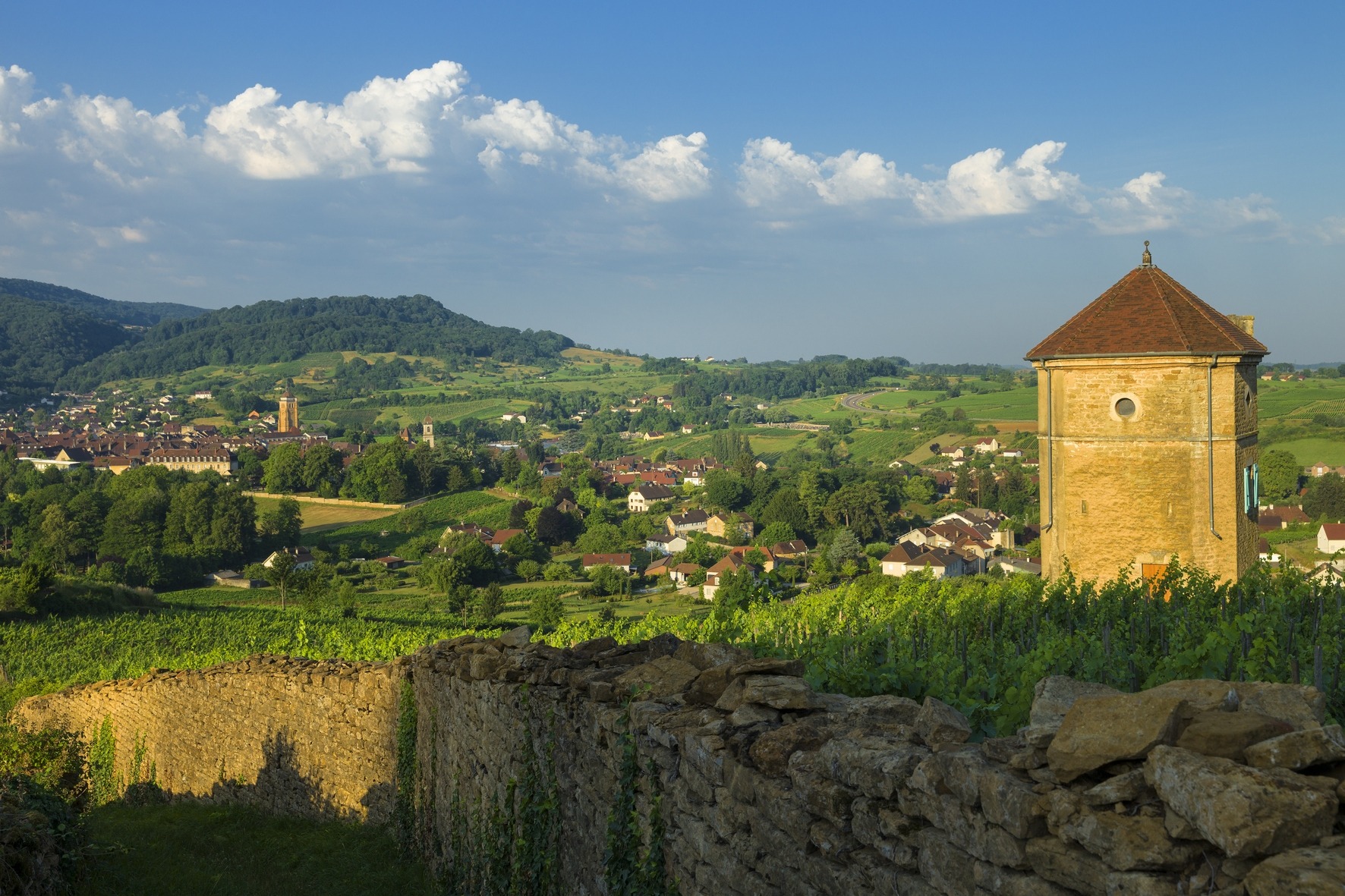Cité historique - Arbois