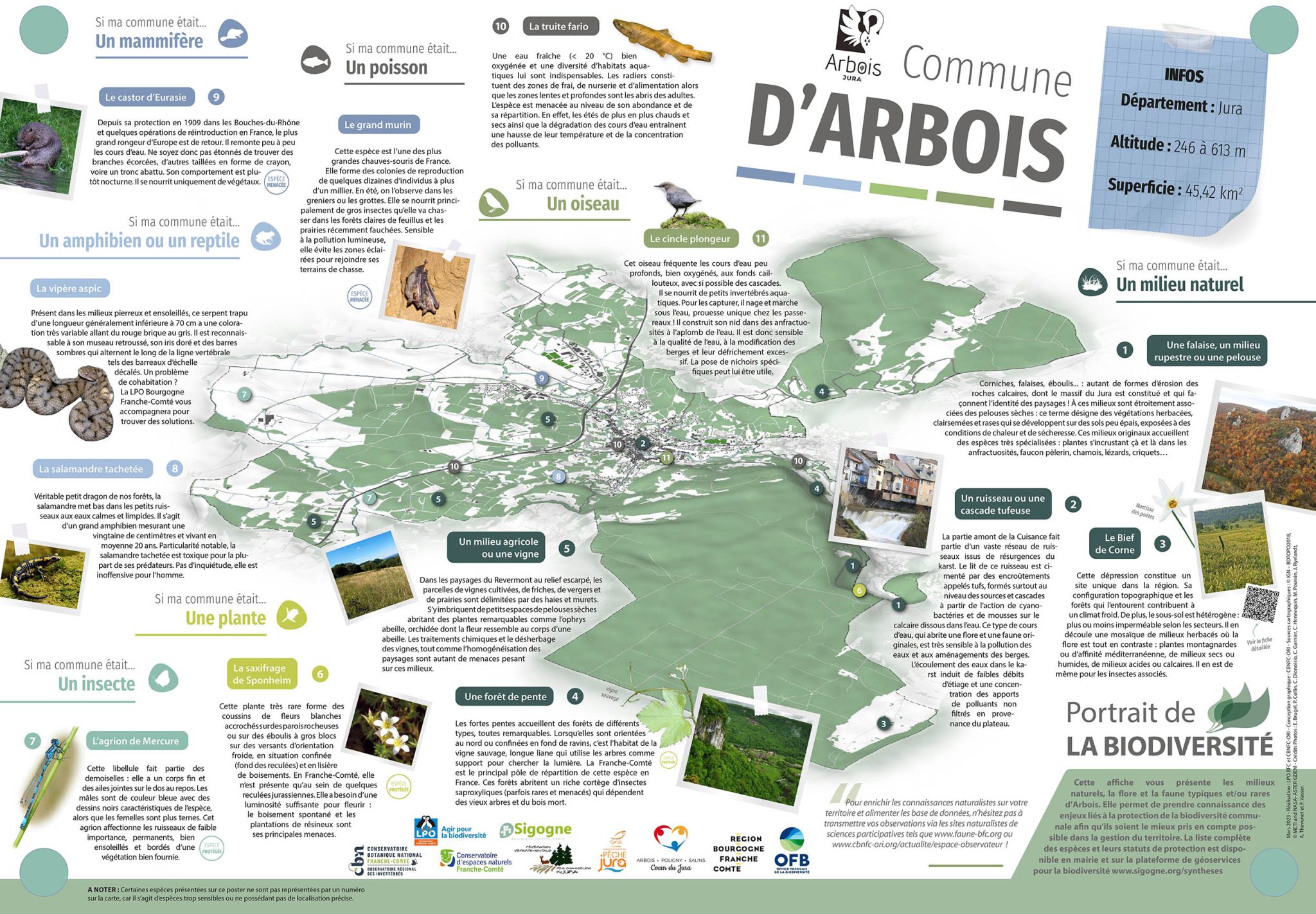 Site naturel - Arbois